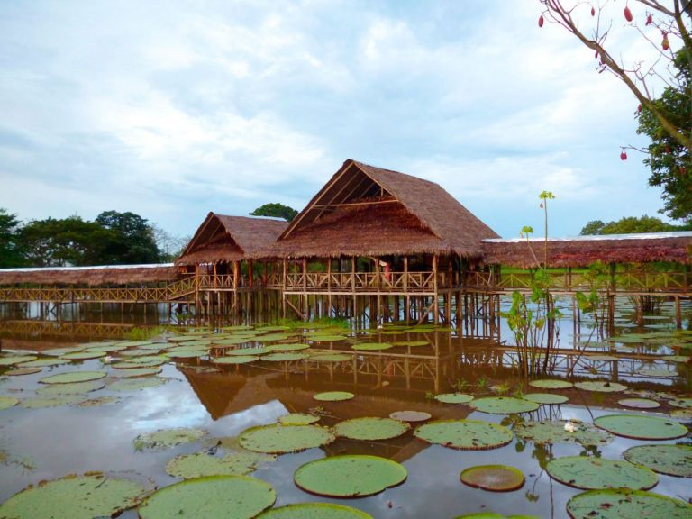 Viajar a Leticia, Colombia. La puerta al Amazonas - Quiero ser libre ☀️